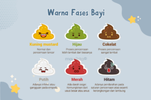 Kenali 9 Arti Warna Fases Bayi dari Normal Hingga Perlu Diwaspadai - mamikita.com