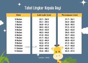 Cara Mengukur Lingkar Kepala Bayi yang Tepat dan Benar - mamikita.com